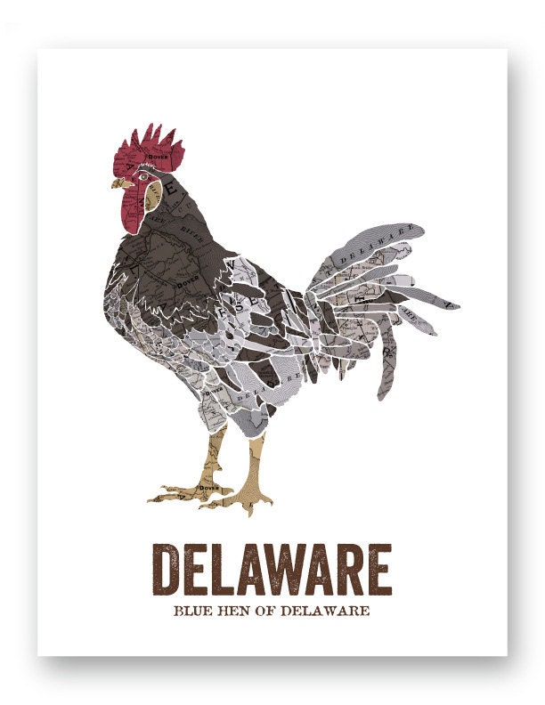Delaware State Bird Nature Art Outdoor Art Vintage Map Art - Etsy