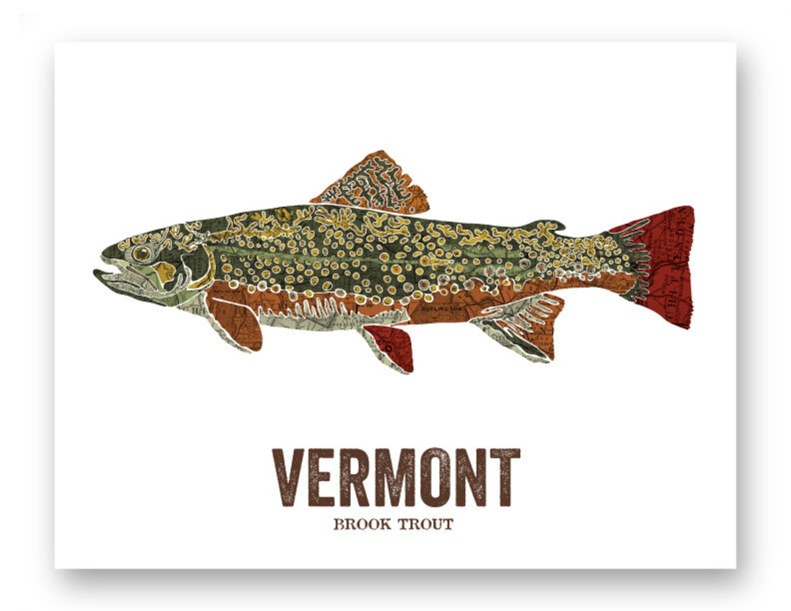 Vermont State Fish Nature Art Outdoor Art Vintage Map Art | Etsy