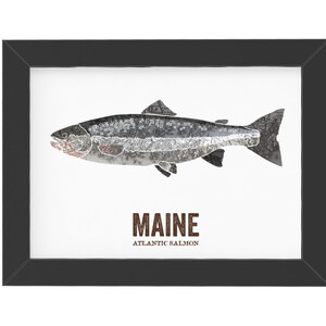 Maine State Fish, Nature Art, Outdoor Art, Vintage Map Art, Art Print ...