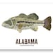 Alabama State Fish, Map Art, Nature Outdoor Art, Vintage Map Art, Art ...
