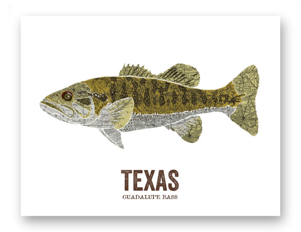 Texas State Fish Map Art Nature Outdoor Art Vintage Map - Etsy