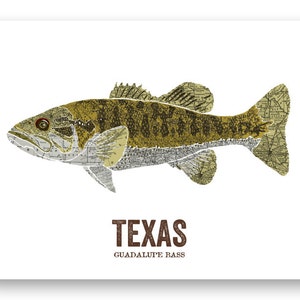 Texas State Fish, Map Art, Nature Outdoor Art, Vintage Map Art, Art ...