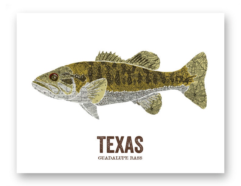 Texas State Fish Map Art Nature Outdoor Art Vintage Map - Etsy