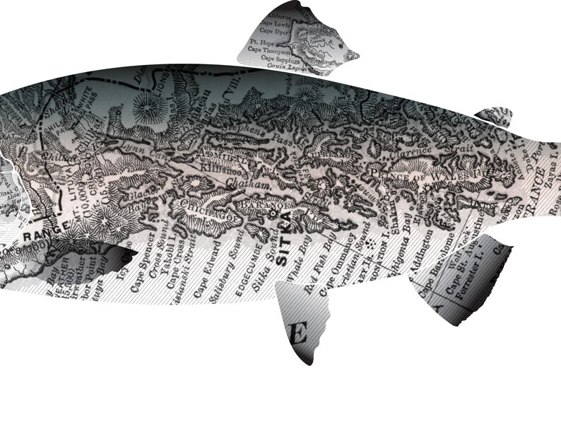 Alaska State Fish Map Art Nature Outdoor Art Vintage Map - Etsy