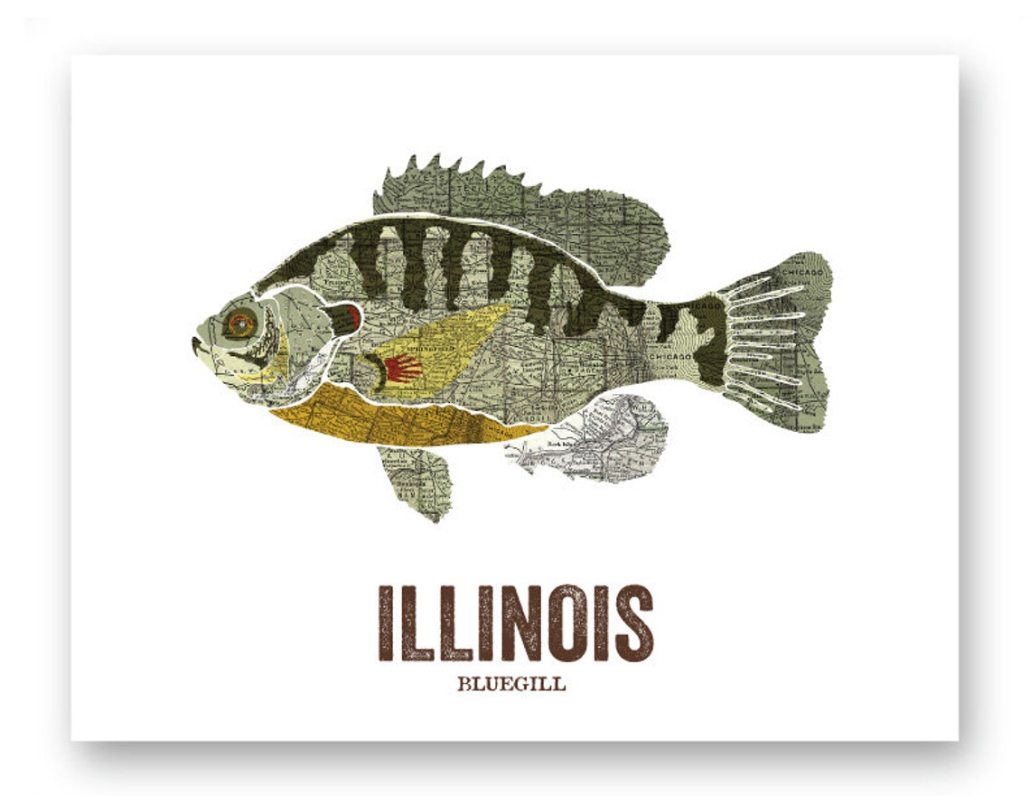 Illinois State Fish, Map Art, Nature Outdoor Art, Vintage Map Art, Art ...