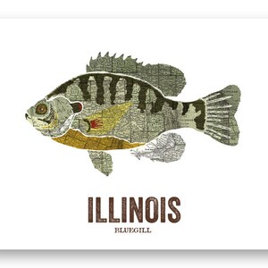 Illinois State Fish, Map Art, Nature Outdoor Art, Vintage Map Art, Art ...