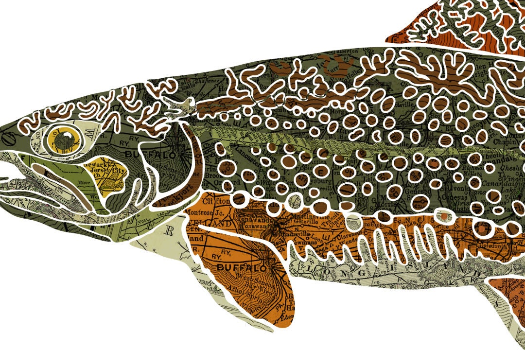 New York State Fish, Map Art, Nature Outdoor Art, Vintage Map Art, Art ...