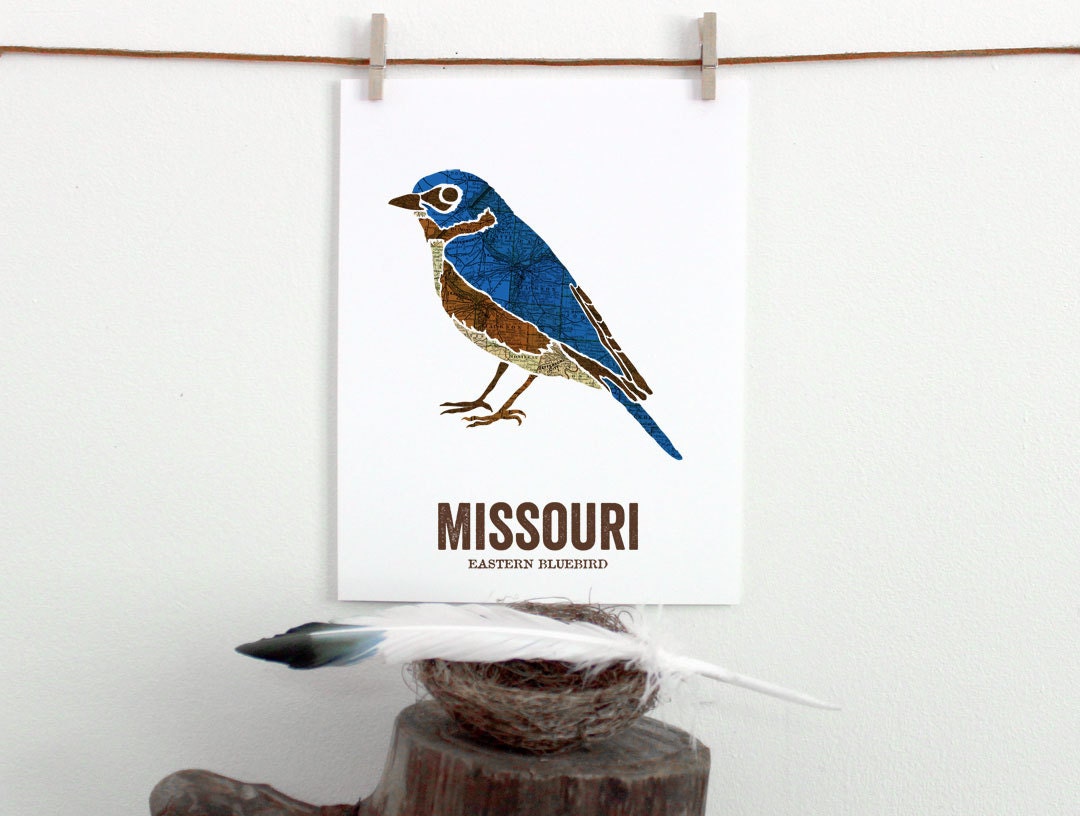 Eastern Bluebird Art Print, Missouri State Bird, Vintage Map - Etsy