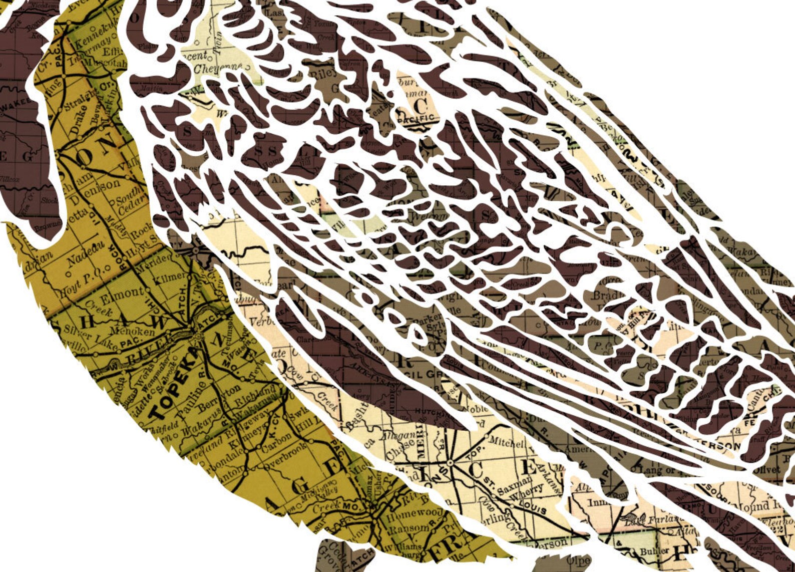 Kansas State Bird Nature Art Outdoor Art Vintage Map Art - Etsy