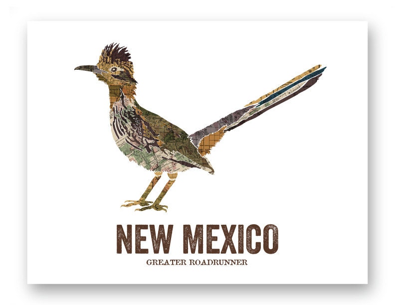 New Mexico State Bird Nature Art Outdoor Art Vintage Map - Etsy