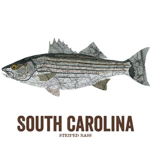 South Carolina State Fish, Map Art, Nature Outdoor Art, Vintage Map Art ...