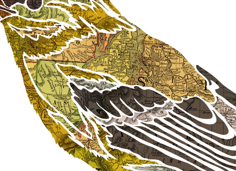 Washington State Bird Nature Art Outdoor Art Vintage Map - Etsy