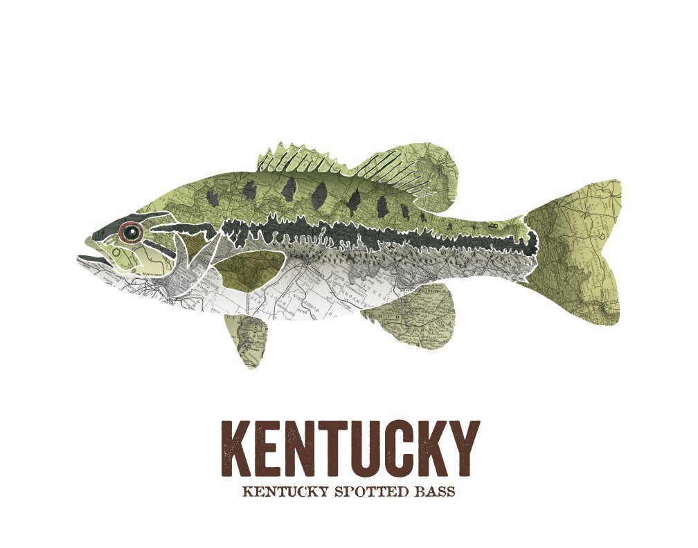 Kentucky State Fish Map Art Nature Outdoor Art Vintage Map | Etsy