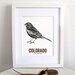 Colorado State Bird Art, Map Art, State Art, Bird Print, Nature Art ...