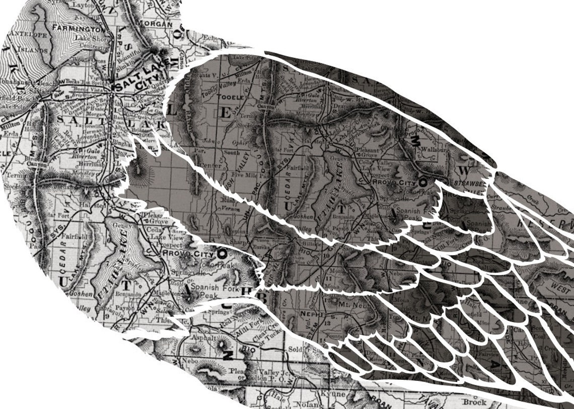 Utah State Bird, Art, Nature Art, Outdoor Art, Vintage Map Art, Art ...