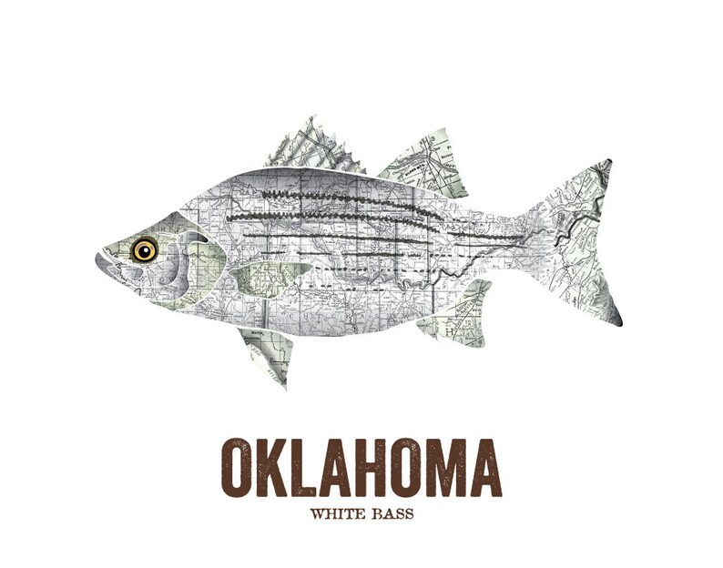 Oklahoma State Fish Map Art Nature Outdoor Art Vintage Map - Etsy