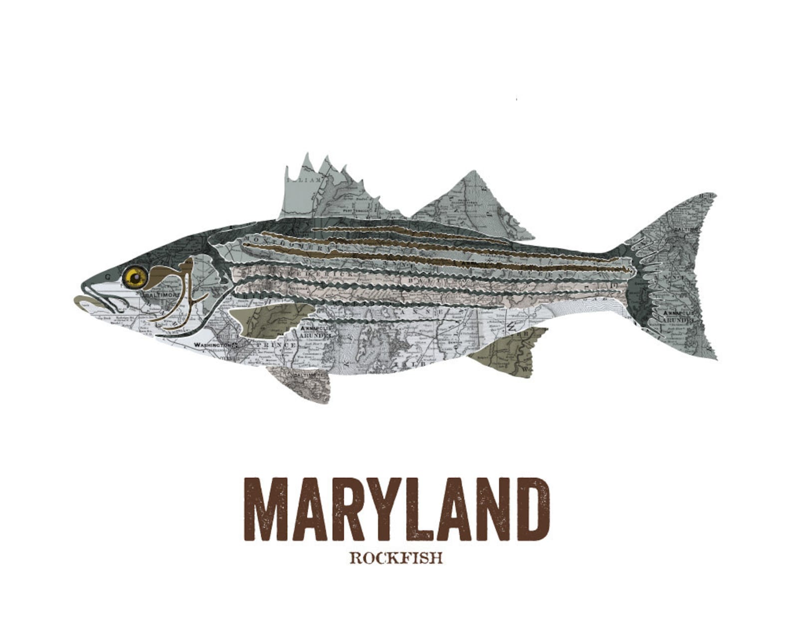 Maryland State Fish Map Art Nature Outdoor Art Vintage Map - Etsy
