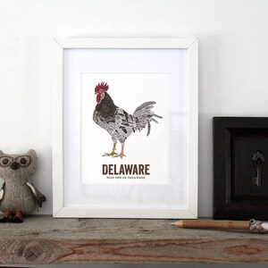 Delaware State Bird, Nature Art, Outdoor Art, Vintage Map Art, Art ...