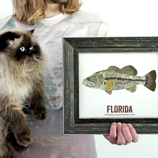 Florida Fish Art - Etsy