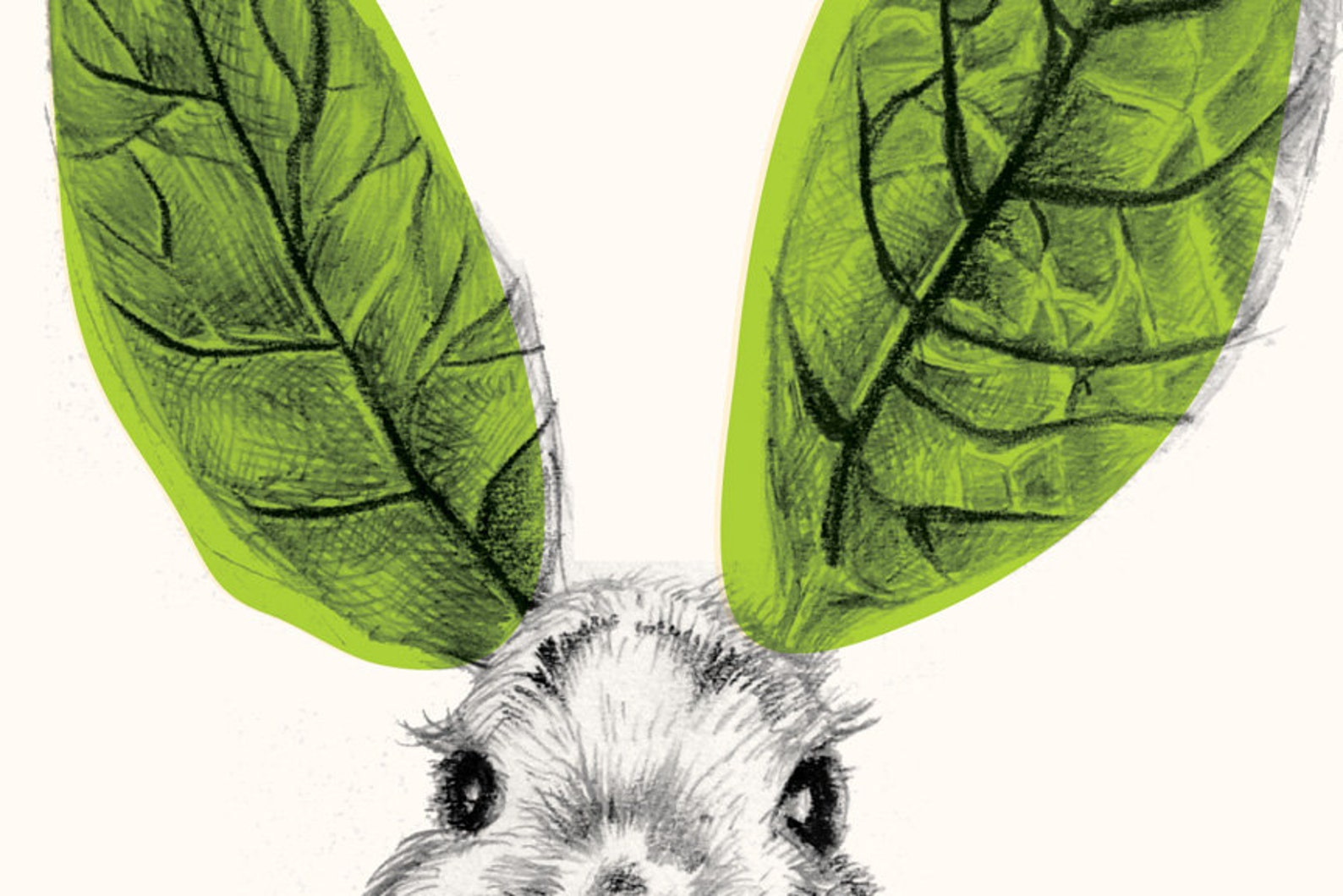 GREEN BUNNY //nature/ Outdoor Art Print Wall Art - Etsy