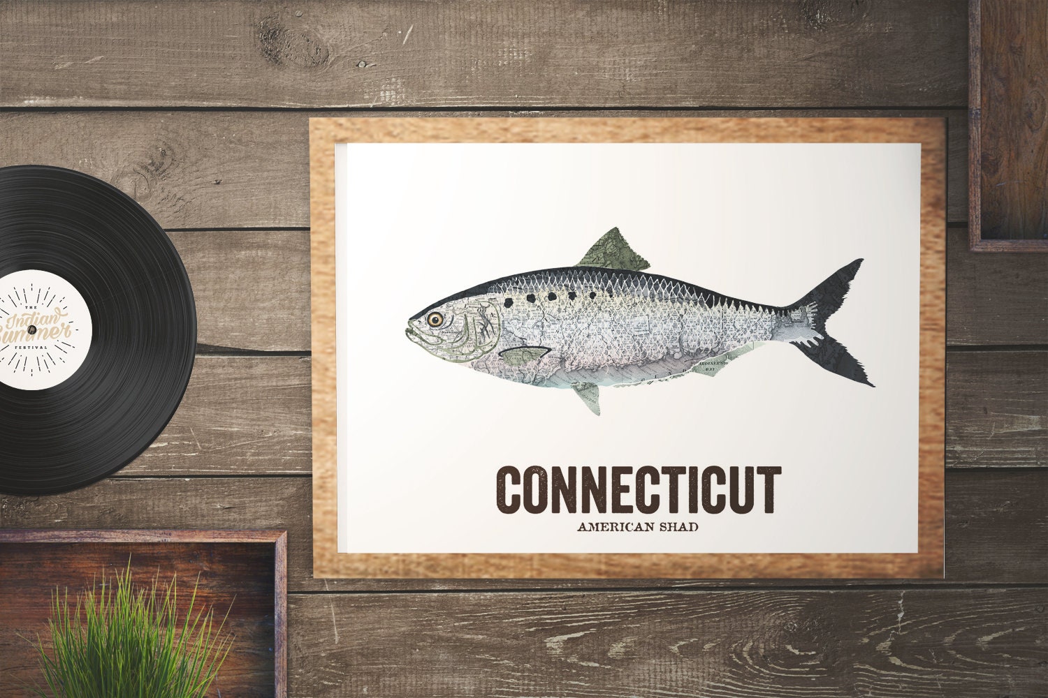 Connecticut State Fish, Map Art, Nature Outdoor Art, Vintage Map Art ...