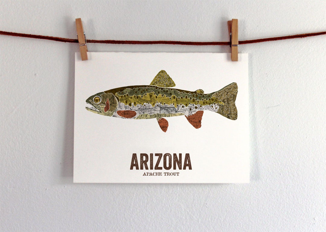 Arizona State Fish Nature Art Outdoor Art Vintage Map Art - Etsy