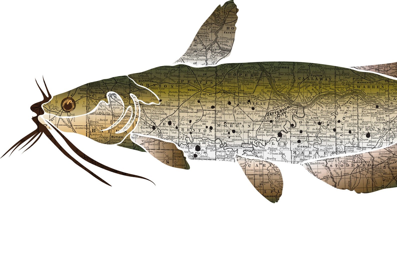 Missouri State Fish Map Art Nature Outdoor Art Vintage Map - Etsy