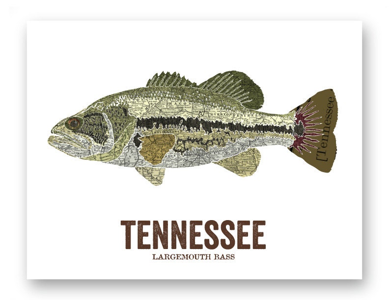 Tennessee State Fish Map Art Nature Outdoor Art Vintage Map - Etsy