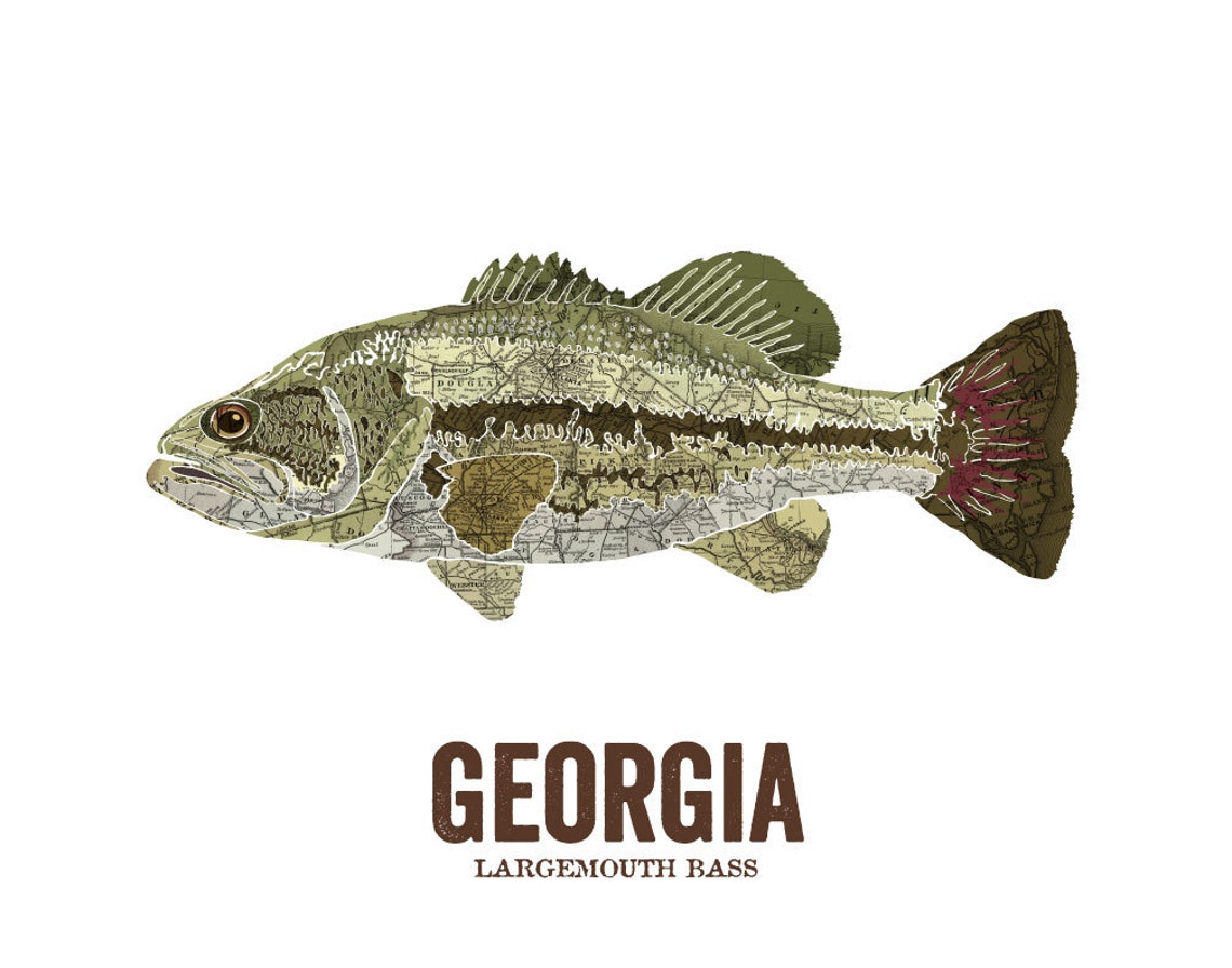 Georgia State Fish Map Art Nature Outdoor Art Vintage Map | Etsy