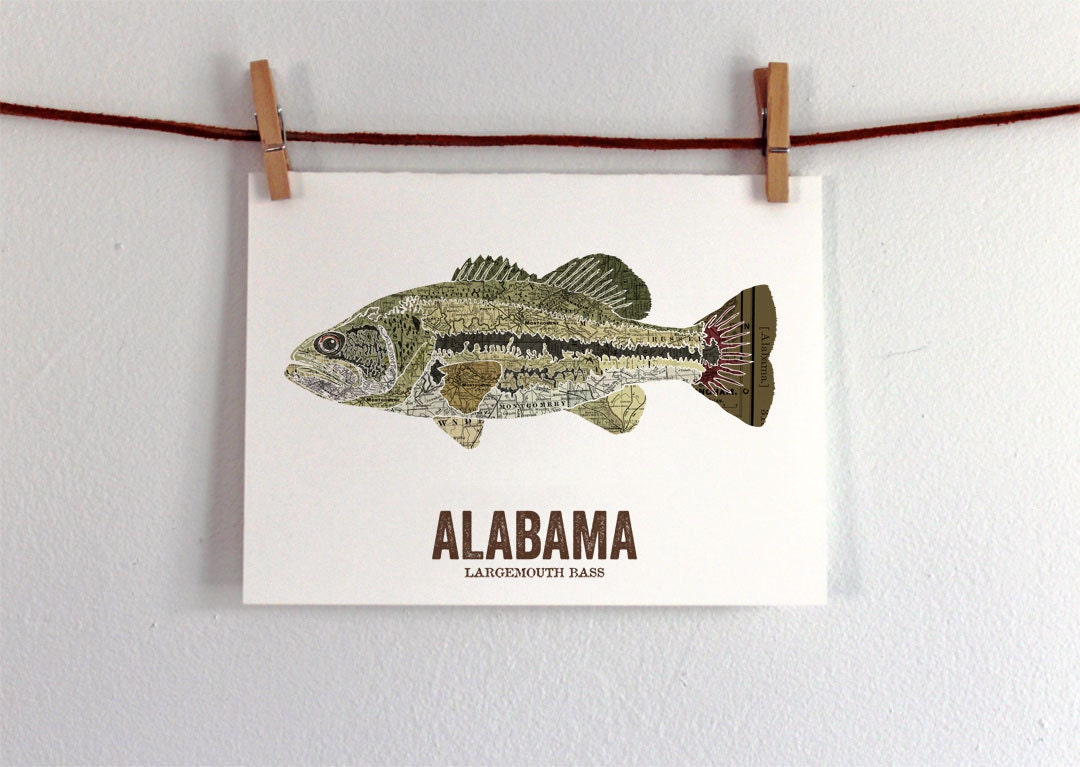 Alabama State Fish, Map Art, Nature Outdoor Art, Vintage Map Art, Art ...