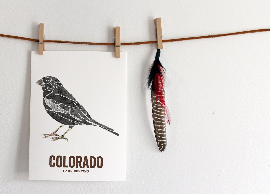 Colorado State Bird Art, Map Art, State Art, Bird Print, Nature Art ...