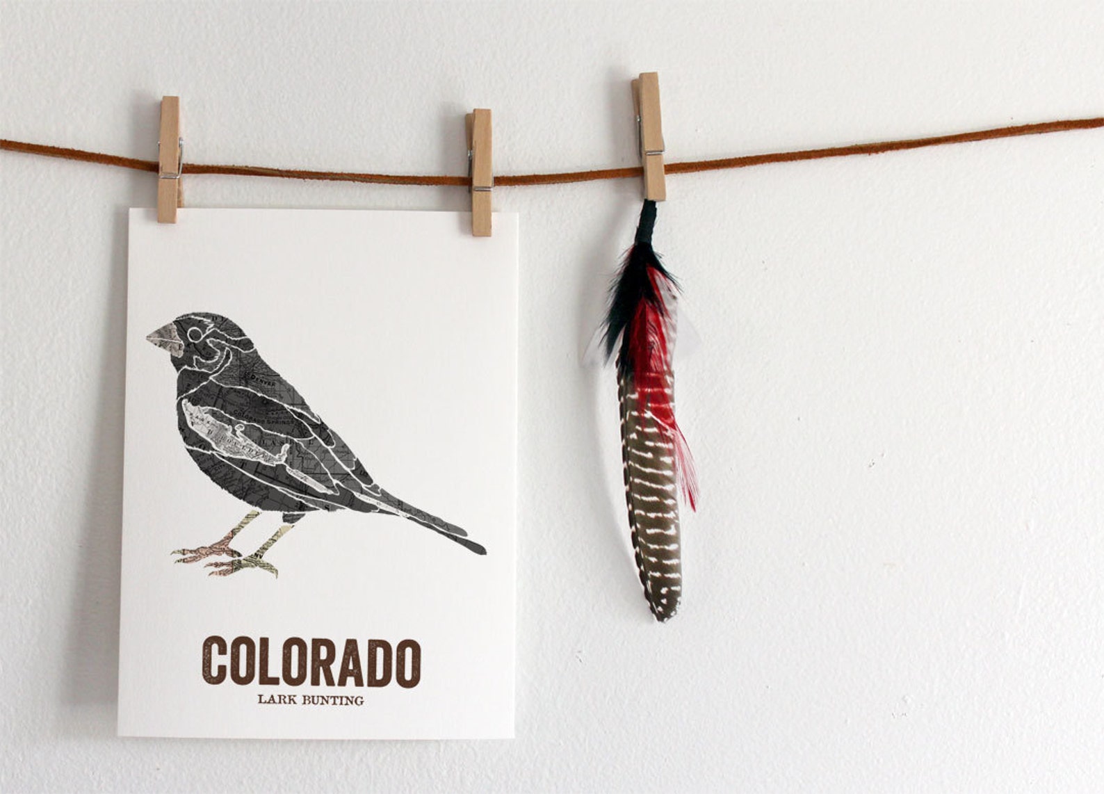 Colorado State Bird Art, Map Art, State Art, Bird Print, Nature Art ...