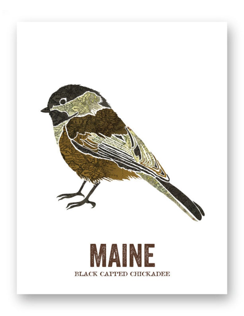 Maine State Bird Nature Art Outdoor Art Vintage Map Art - Etsy Israel