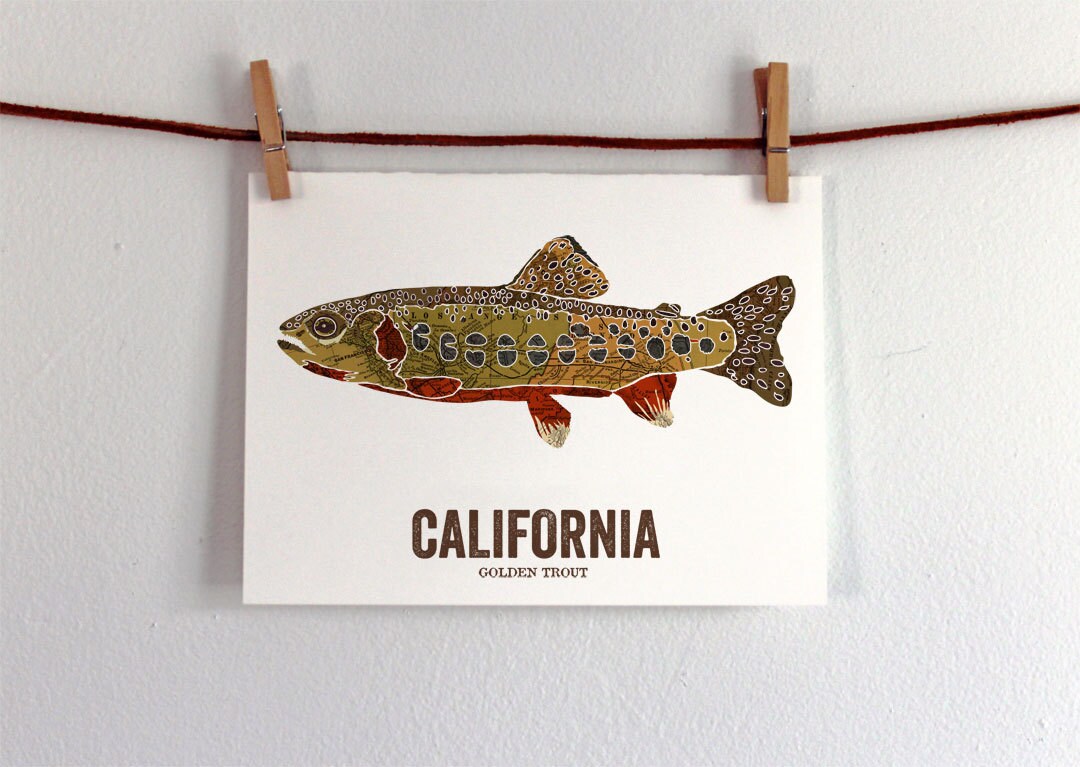 California State Fish, Map Art, Nature Outdoor Art, Vintage Map Art ...