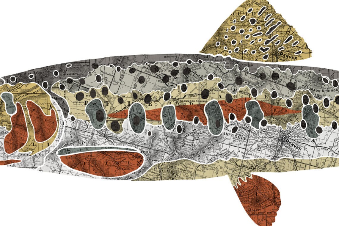 Colorado State Fish Map Art Nature Outdoor Art Vintage Map - Etsy