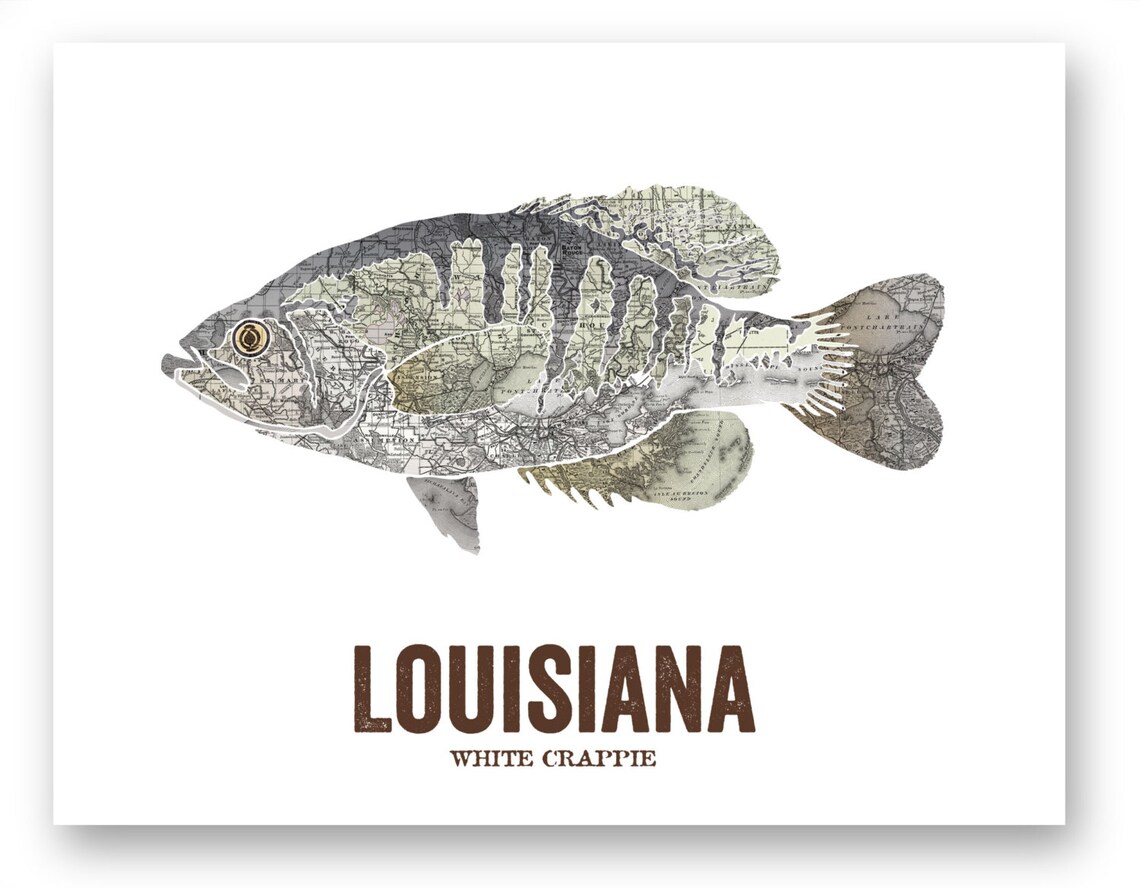 Louisiana State Fish Map Art Nature Outdoor Art Vintage Map - Etsy