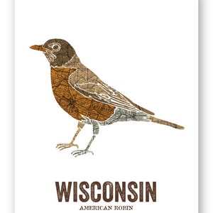Wisconsin State Bird, Nature Art, Outdoor Art, Vintage Map Art, Art ...