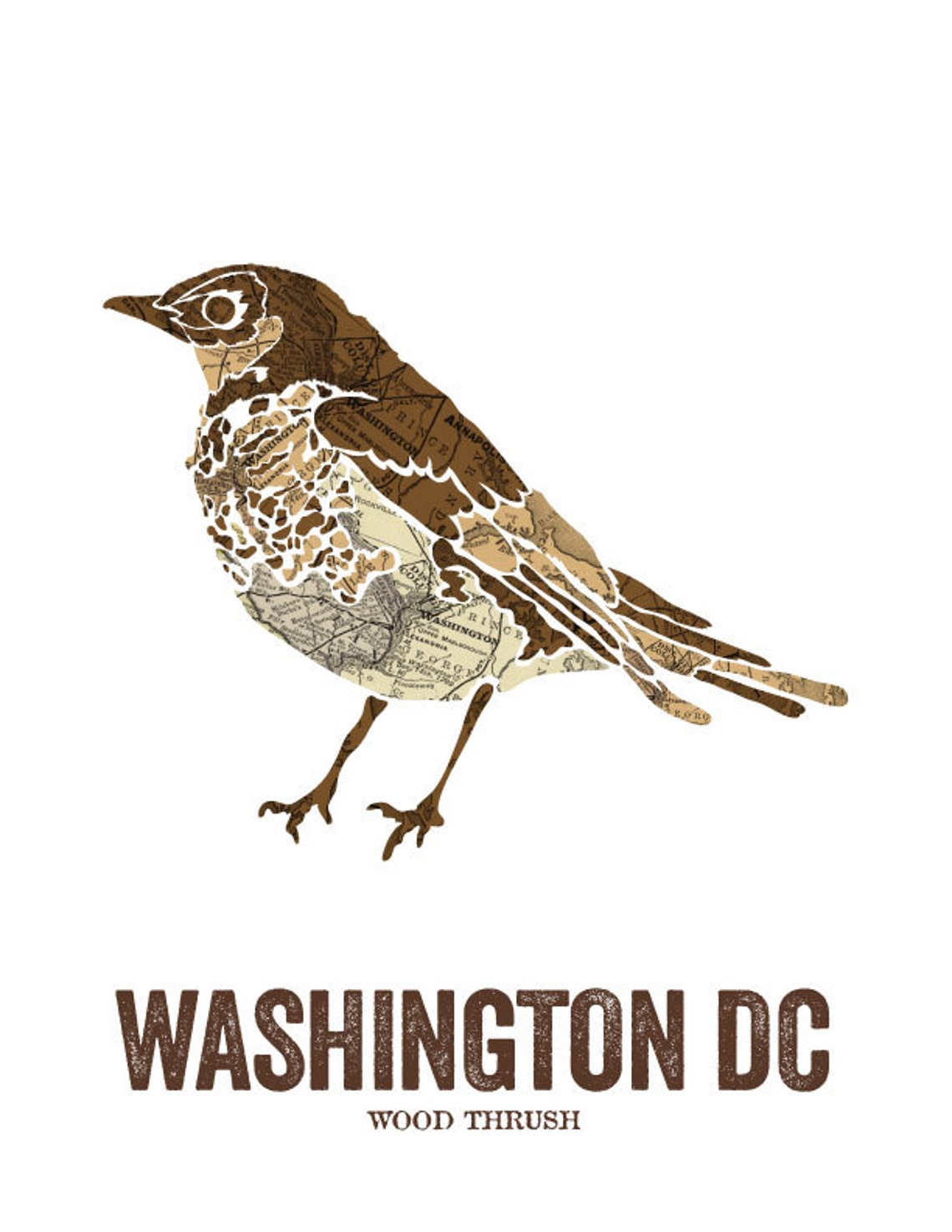Washington DC Bird Nature Art Outdoor Art Vintage Map Art - Etsy