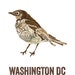 Washington DC Bird, Nature Art, Outdoor Art, Vintage Map Art, Art Print ...