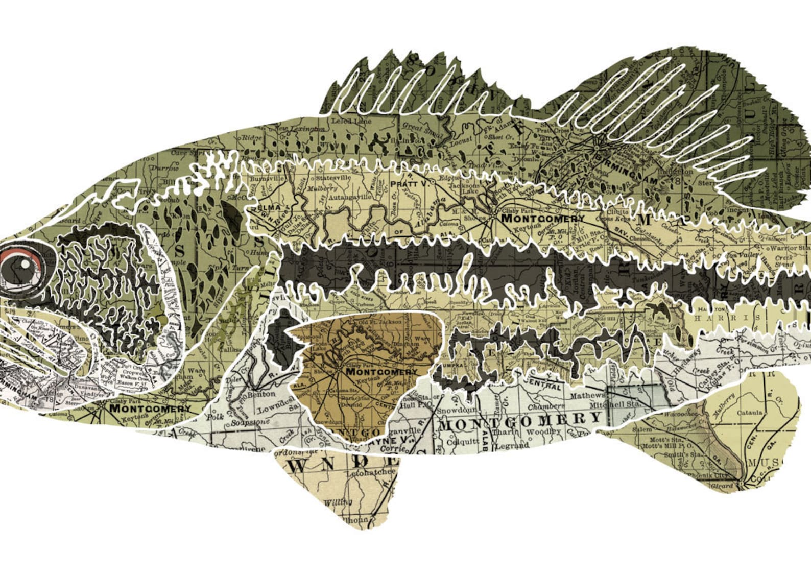Alabama State Fish Map Art Nature Outdoor Art Vintage Map - Etsy