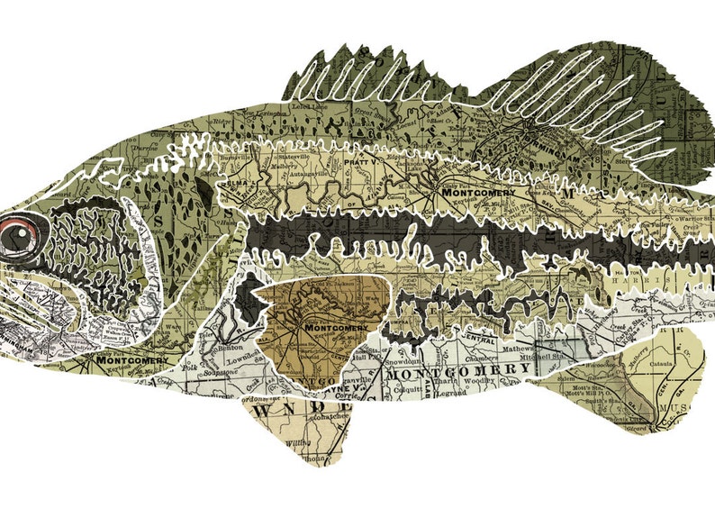 Alabama State Fish Map Art Nature Outdoor Art Vintage Map - Etsy