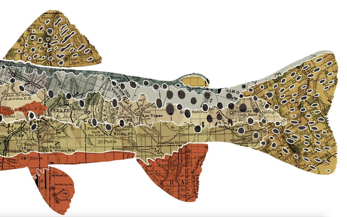 New Mexico State Fish, Map Art, Outdoor Art, Lake House, Art Print ...