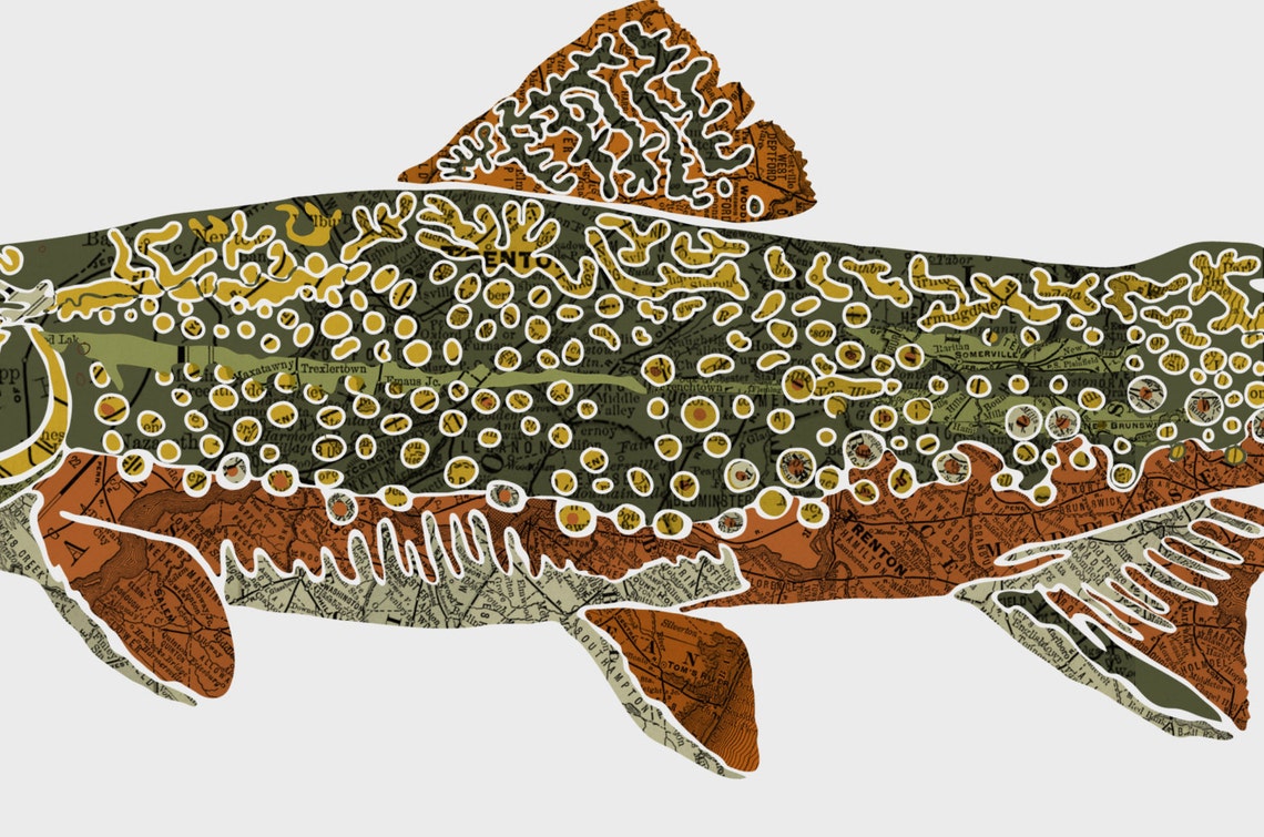 New Jersey State Fish Nature Art Outdoor Art Vintage Map | Etsy