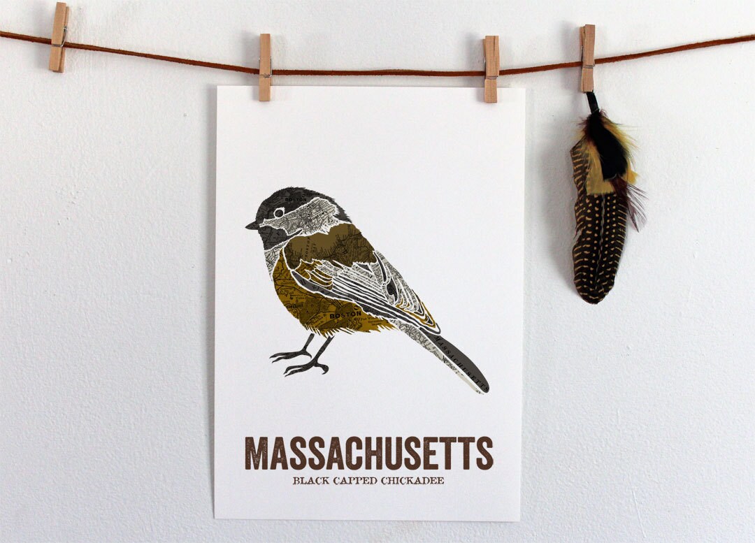 Massachusetts State Bird, Nature Art, Outdoor Art, Vintage Map Art, Art ...