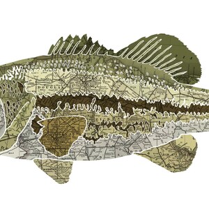 Georgia State Fish, Map Art, Nature Outdoor Art, Vintage Map Art, Art ...