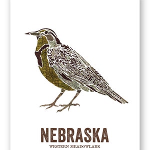 Nebraska State Bird, Nature Art, Outdoor Art, Vintage Map Art, Art ...