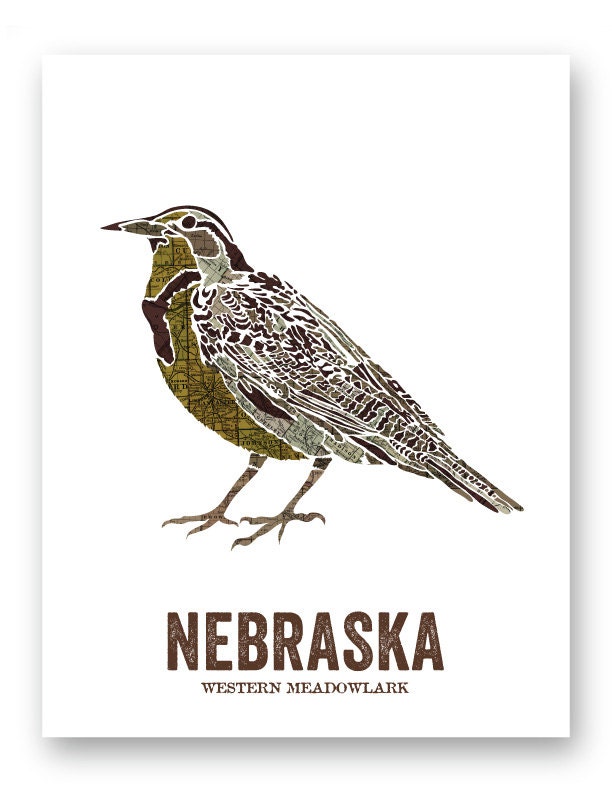 Nebraska State Bird Nature Art Outdoor Art Vintage Map Art - Etsy