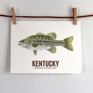 Kentucky State Fish, Map Art, Nature Outdoor Art, Vintage Map Art, Art ...