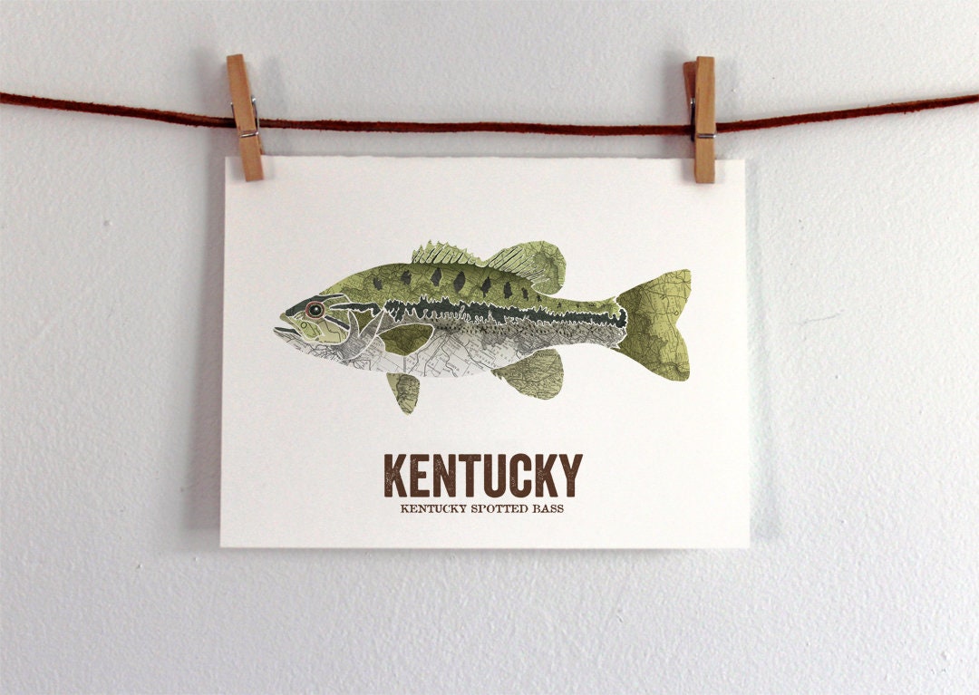 Kentucky State Fish Map Art Nature Outdoor Art Vintage Map | Etsy