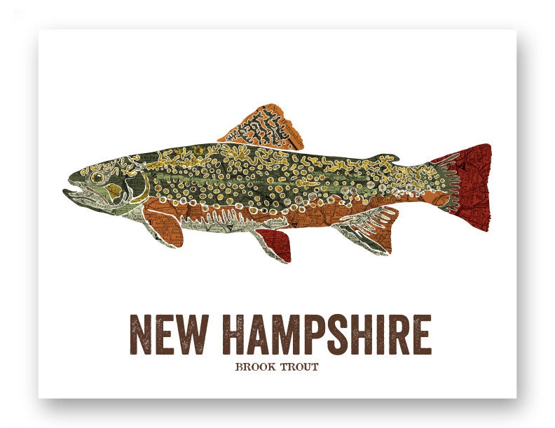 New Hampshire State Fish Map art Nature Outdoor art Vintage | Etsy